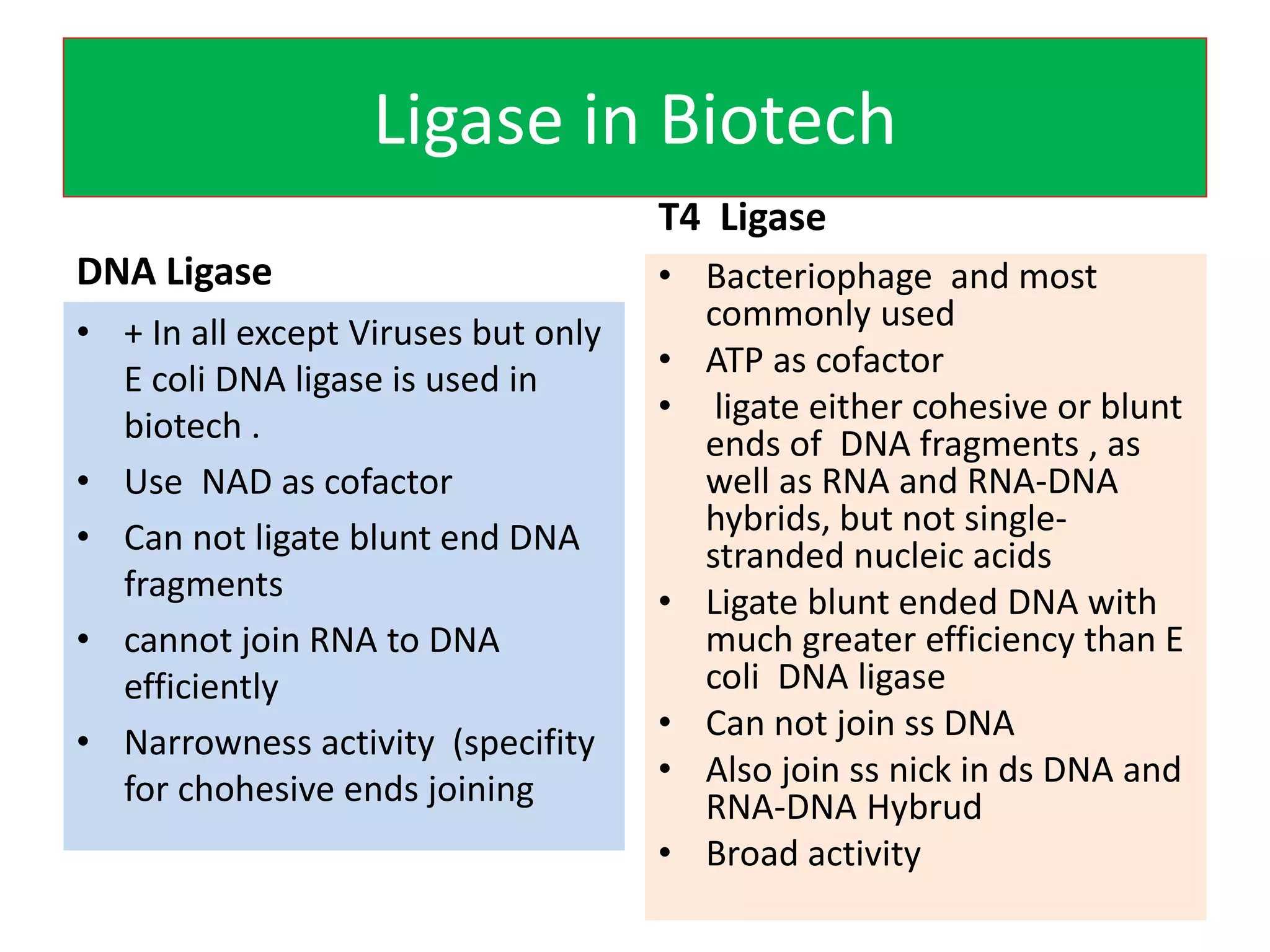 DNA ligase enzymes | PPT