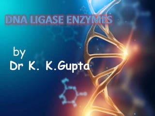 DNA ligase enzymes | PPT