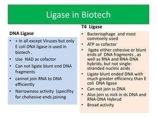 DNA ligase enzymes | PPT