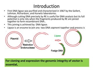 Dna Ligase