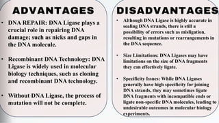 DNA LIGASE BIOTECHNOLOGY BIOLOGY STUDY OF LIFE | PPTX