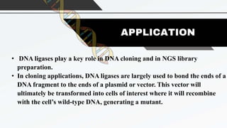 DNA LIGASE BIOTECHNOLOGY BIOLOGY STUDY OF LIFE | PPTX