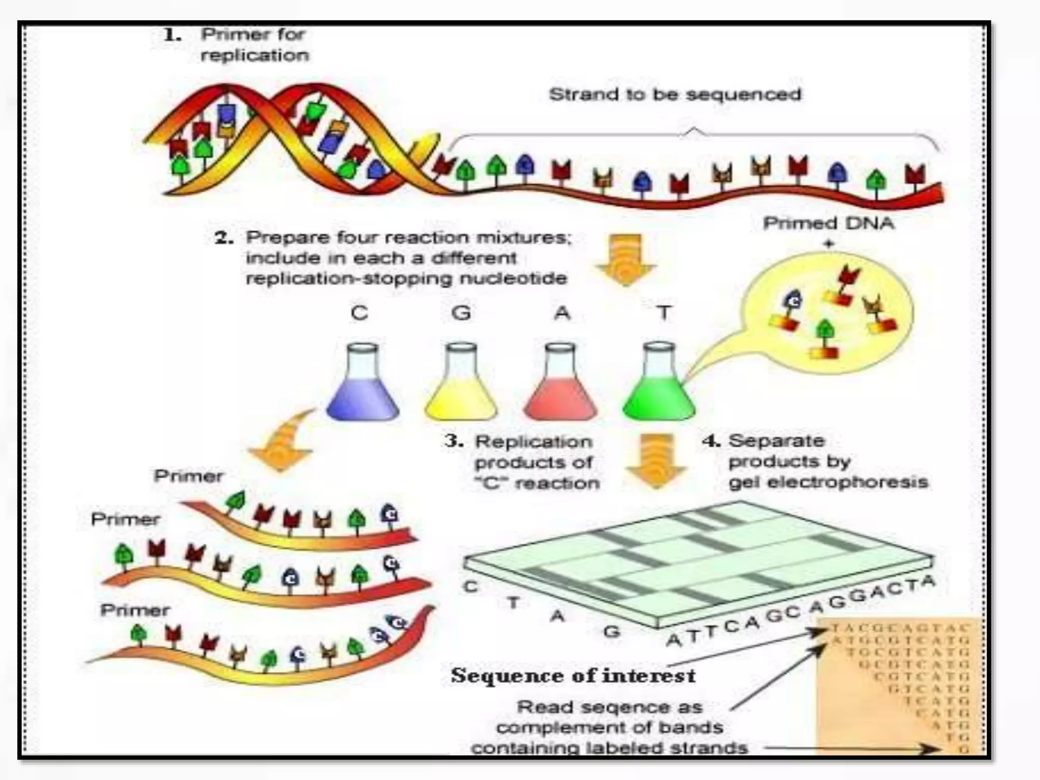 DNA sequencing methods | PPTX