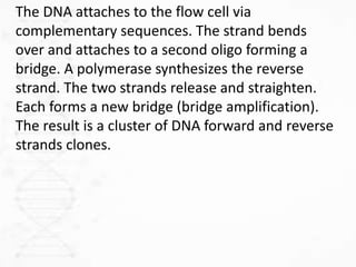 DNA sequencing methods | PPT