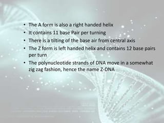 structure of dna and transcription | PPTX