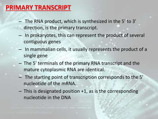 structure of dna and transcription | PPTX