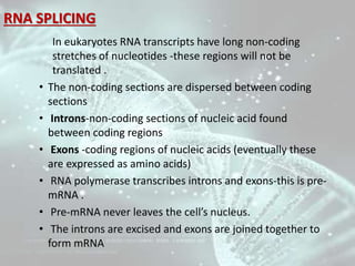 structure of dna and transcription | PPTX
