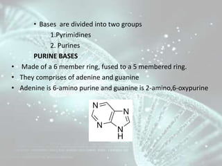 structure of dna and transcription | PPTX
