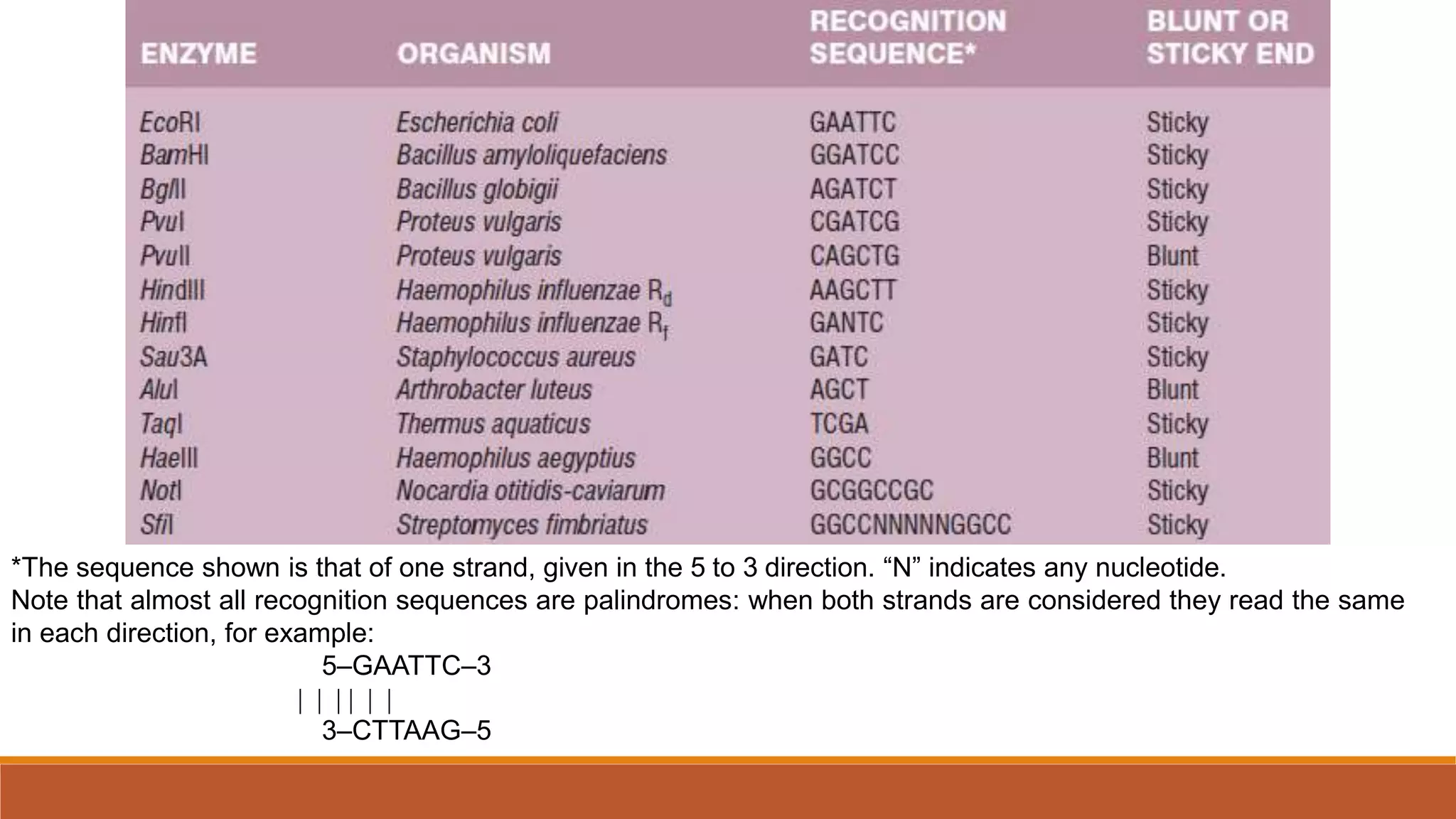 DNA manipulation | PPTX