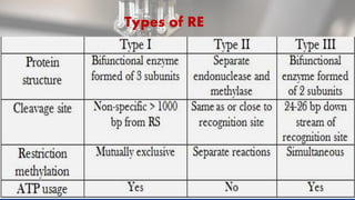 DNA manipulation Enzymes 2.pdf