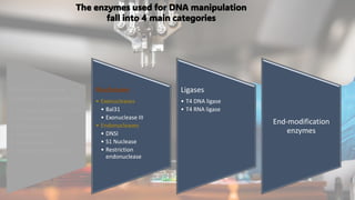 DNA manipulation Enzymes 2.pdf