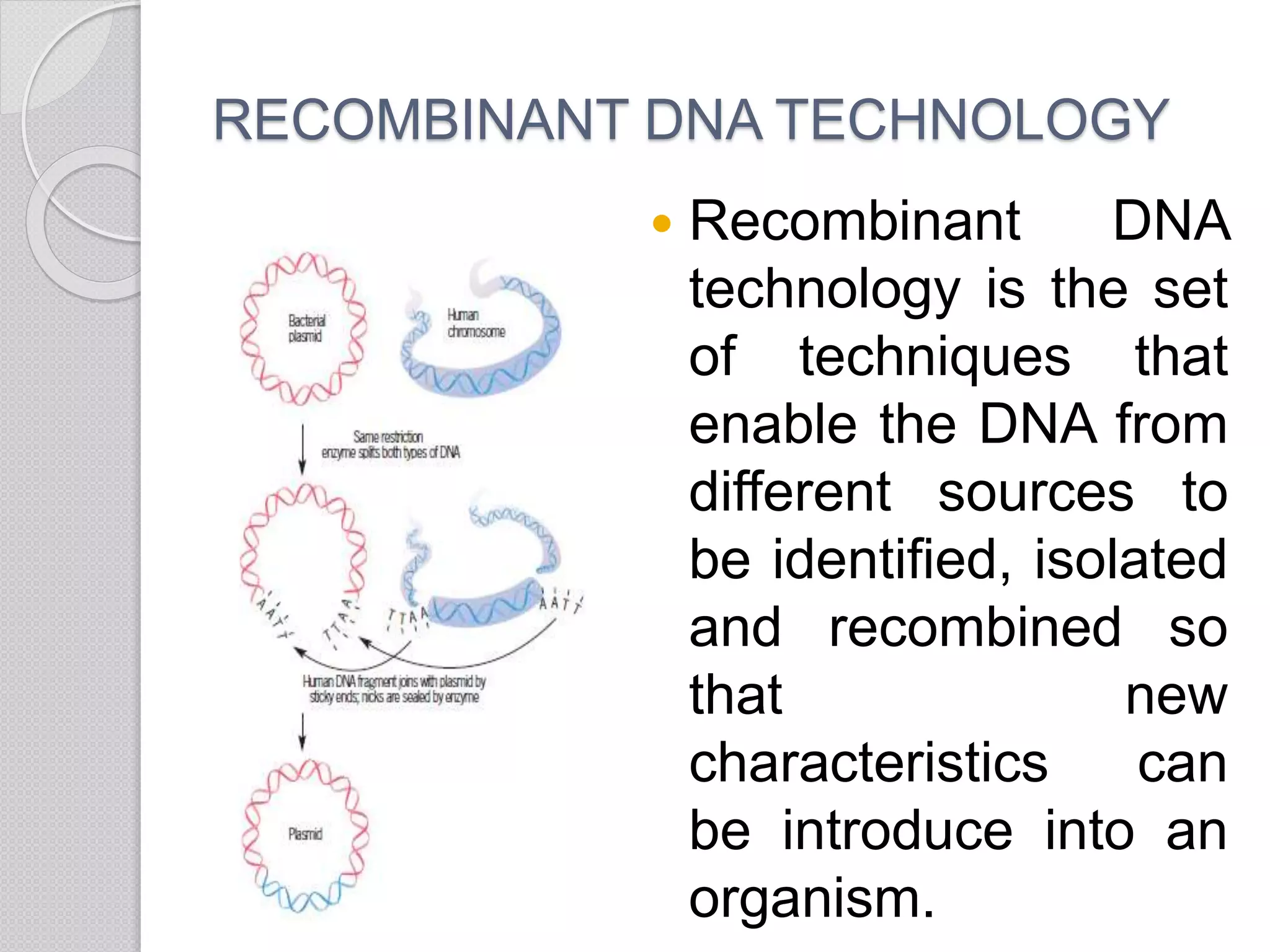Dna manipulation enzymes | PPTX