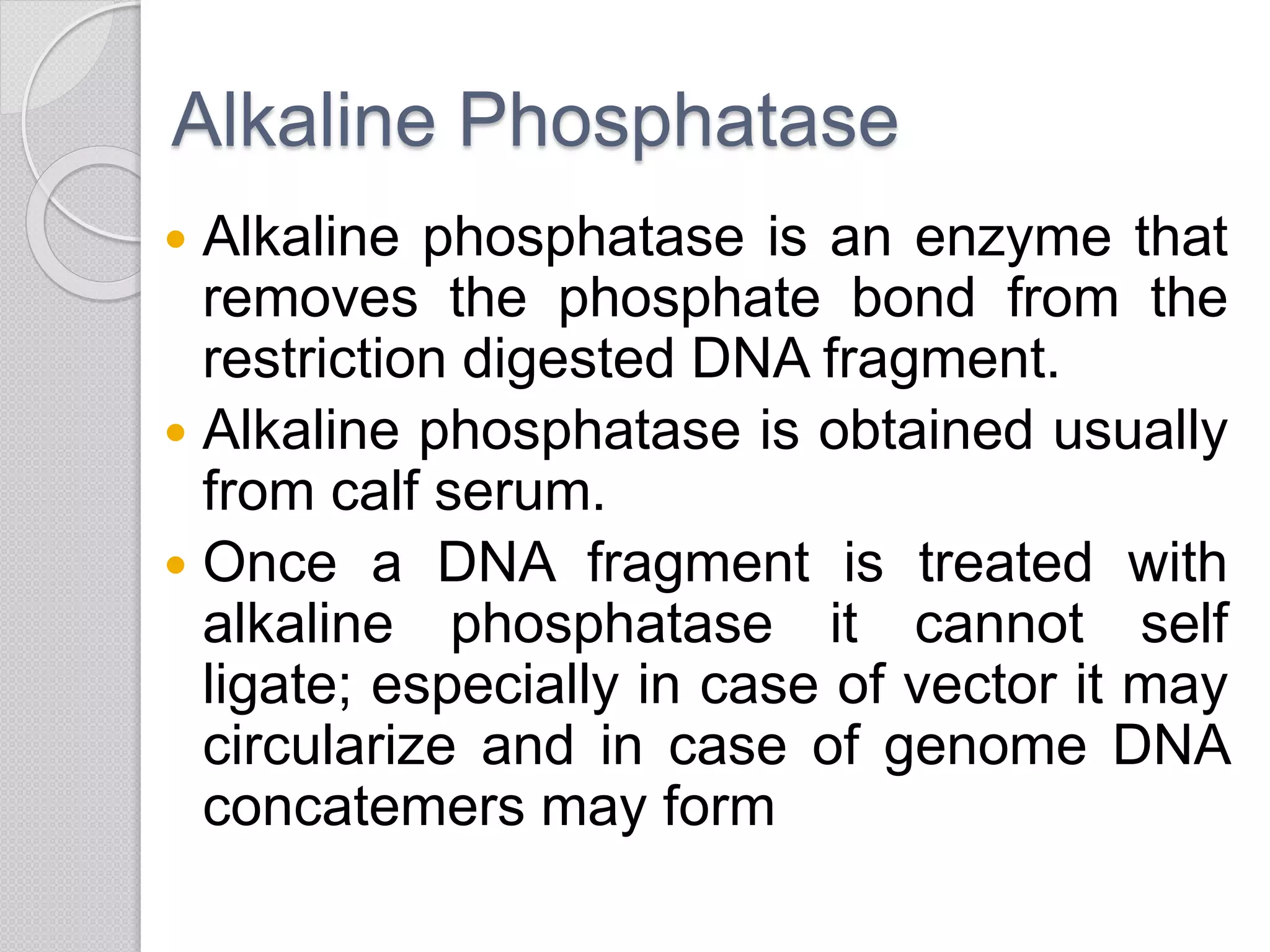 Dna manipulation enzymes | PPTX
