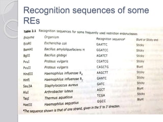 Dna manipulation enzymes | PPTX