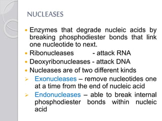 Dna manipulation enzymes | PPTX