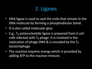 Dna manipulative enzymes | PPTX