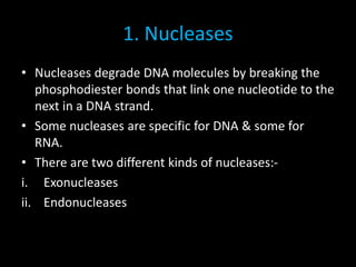 Dna manipulative enzymes | PPTX