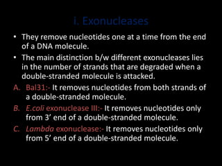 Dna manipulative enzymes | PPTX