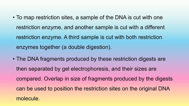 Dna mapping | PPTX