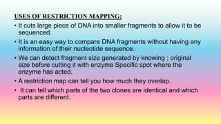 Dna mapping | PPTX