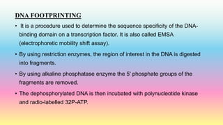 Dna mapping | PPTX
