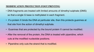 Dna mapping | PPTX