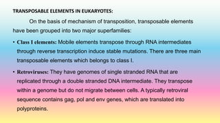 Dna mapping | PPTX