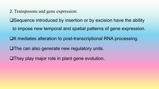 Dna mapping | PPTX