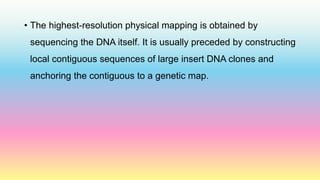 Dna mapping | PPTX