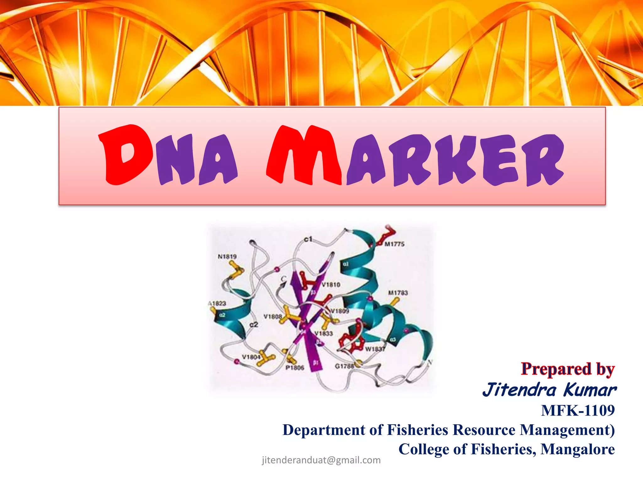 DNA Marker: | PPTX