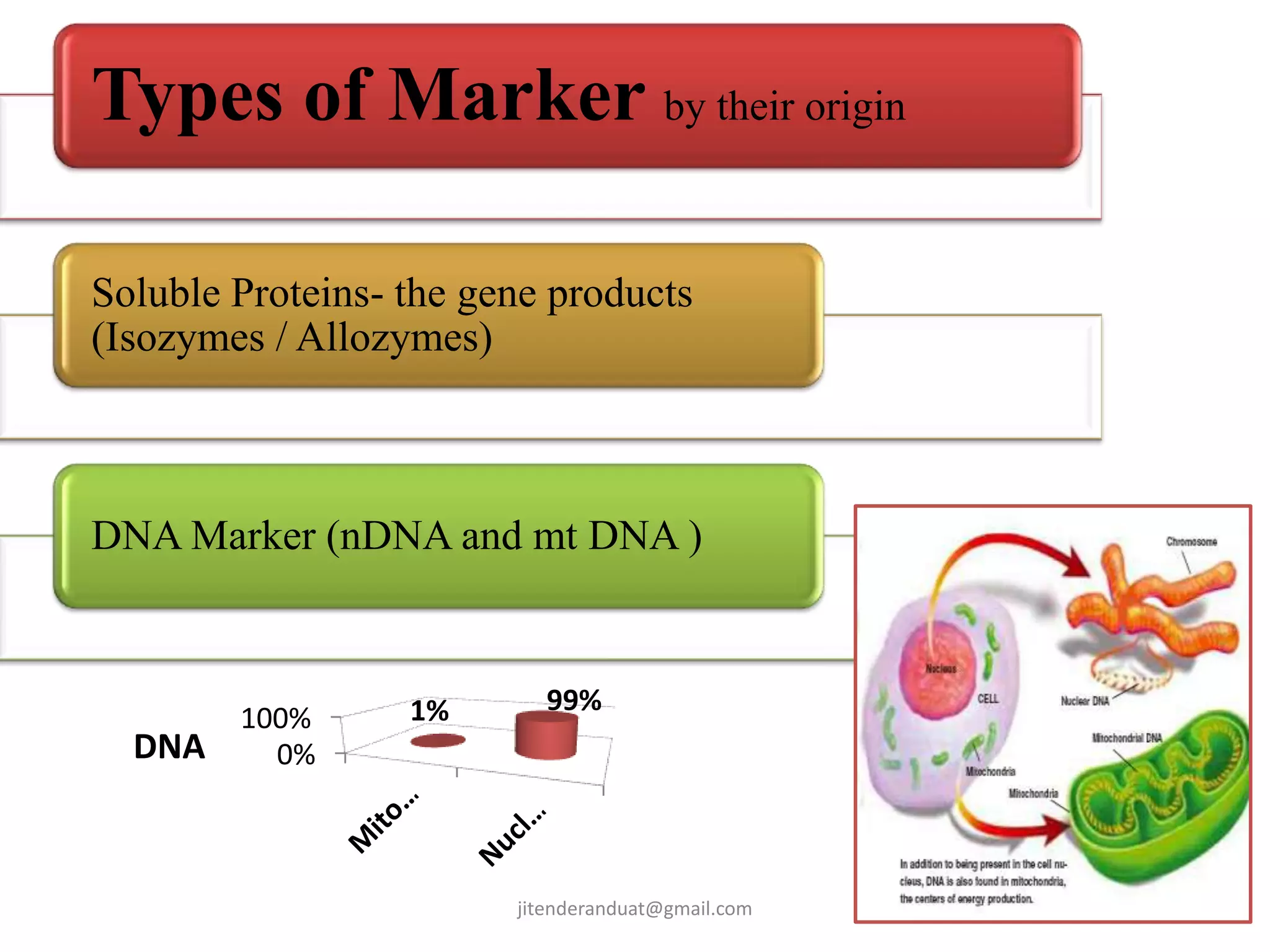 DNA Marker: | PPT