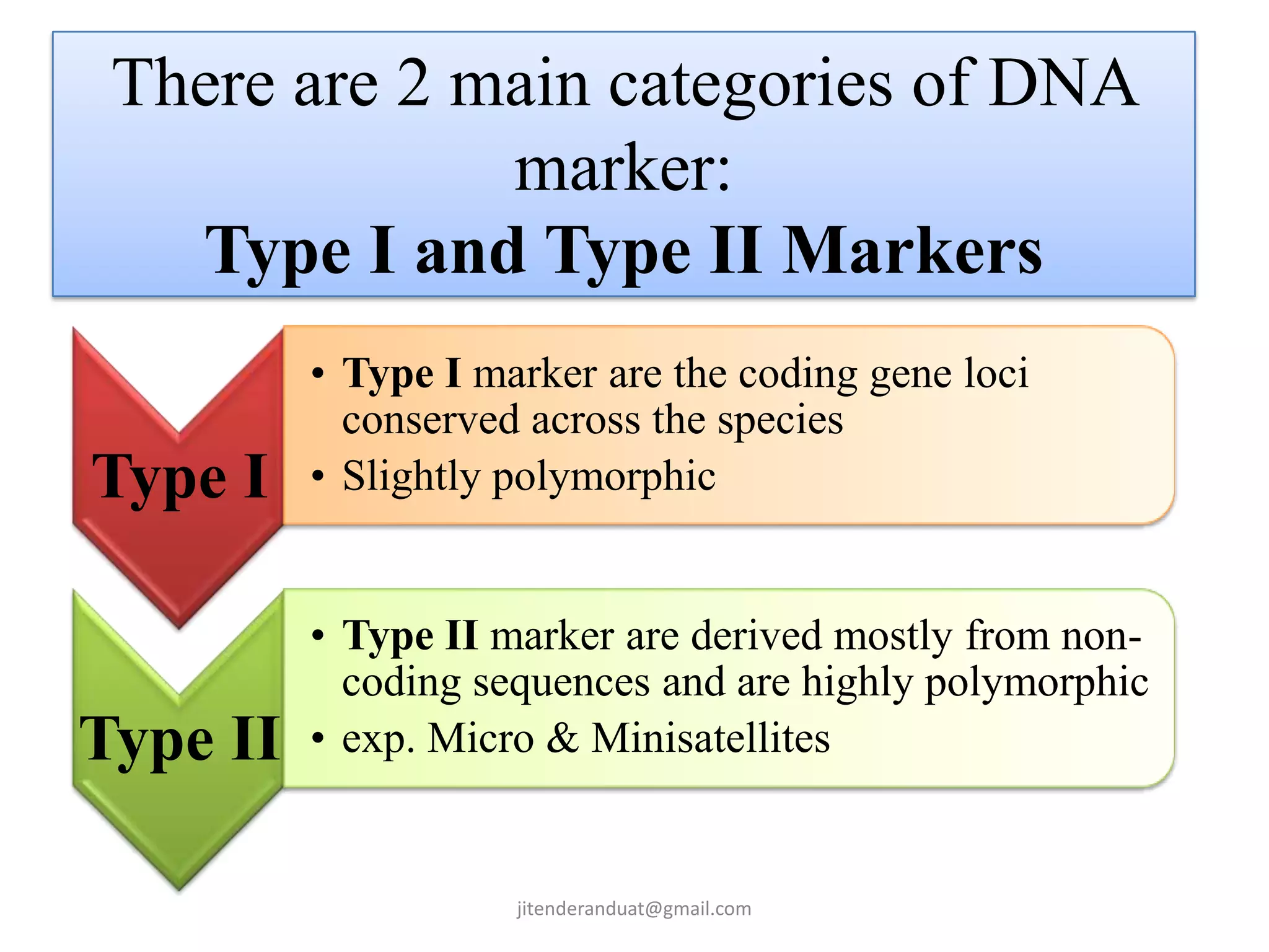 DNA Marker: | PPT