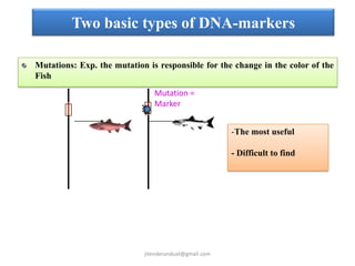 DNA Marker: | PPTX