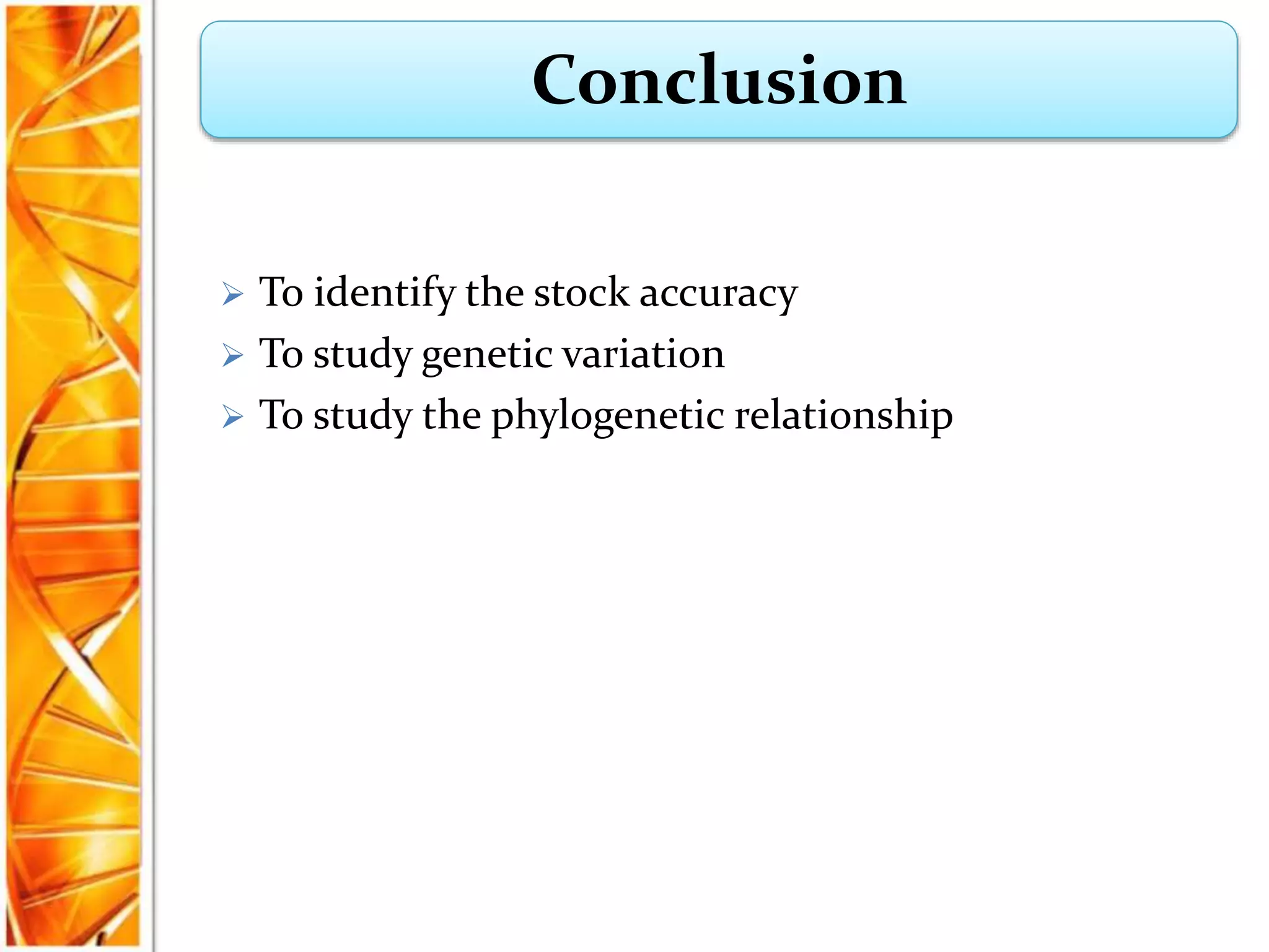 DNA Marker | PPTX