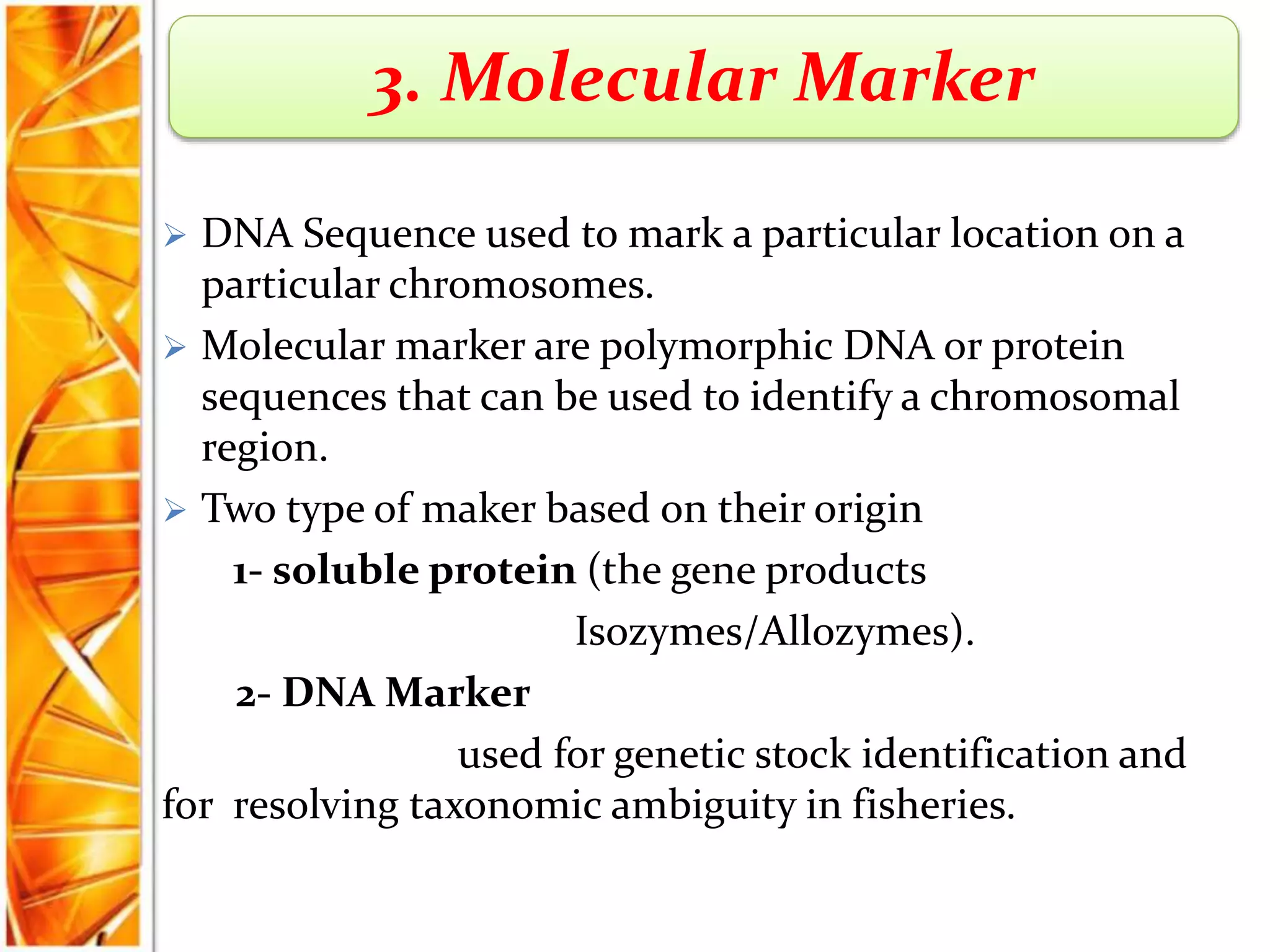 DNA Marker | PPTX