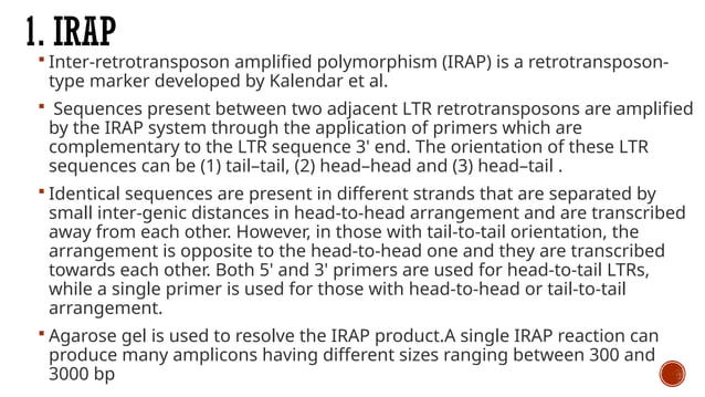 DNA markers complete details and types of DNA Markers | PPTX