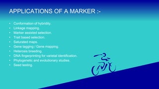 DNA markers (2).pptx