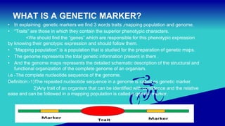 DNA markers (2).pptx