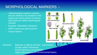 DNA markers (2).pptx