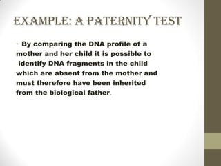 dna master legend.pptx DNA Fingerprinting: Purpose, Procedure, and How ...