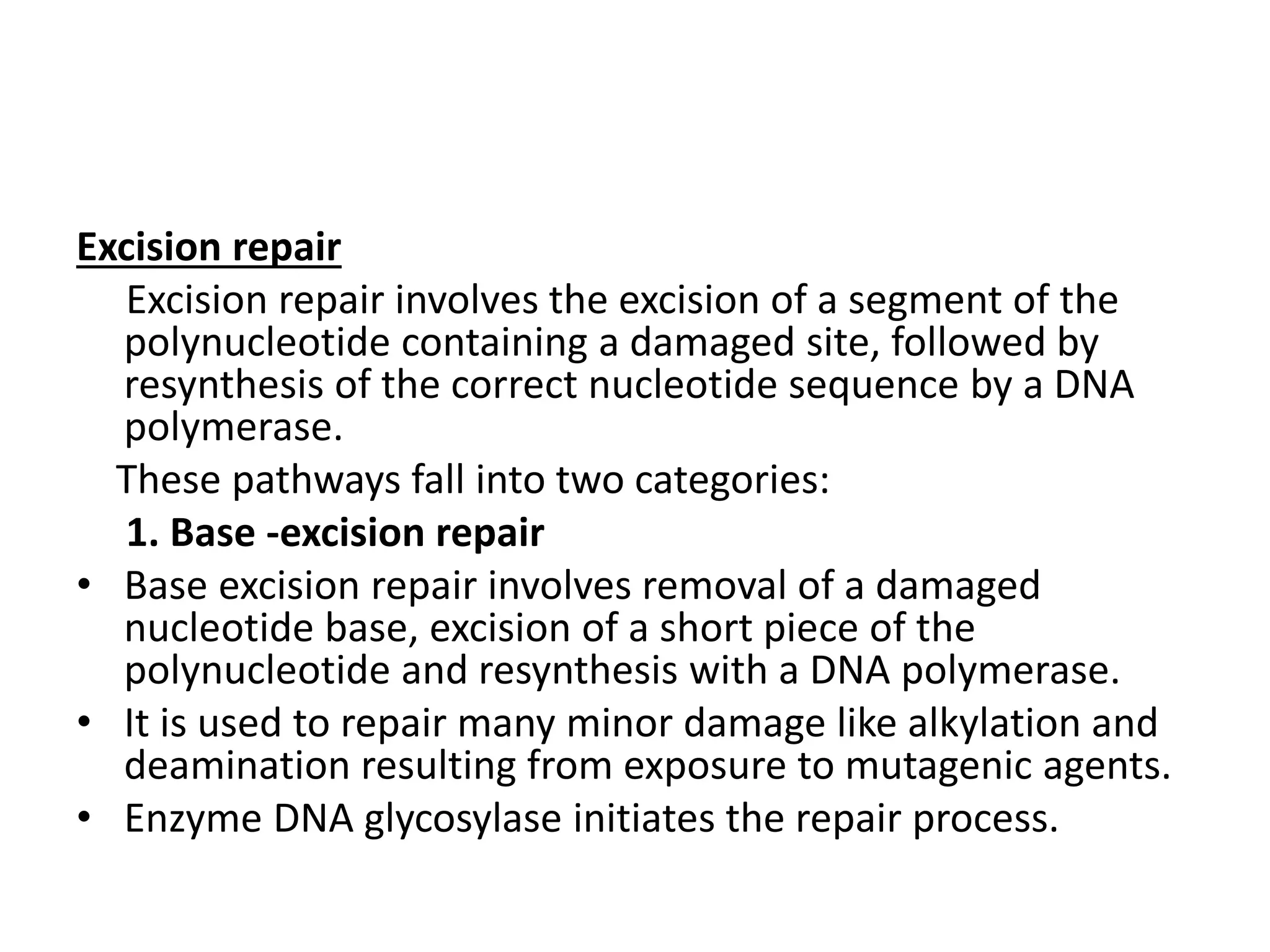 Molecular mechanism of DNA,damage n repair.pptx