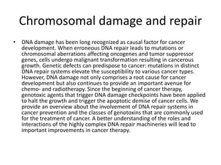 Molecular mechanism of DNA,damage n repair.pptx