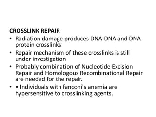 Molecular mechanism of DNA,damage n repair.pptx