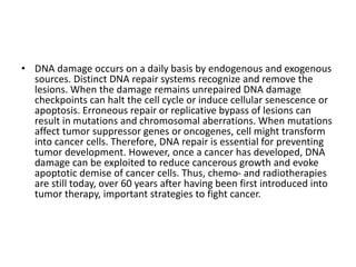 Molecular mechanism of DNA,damage n repair.pptx