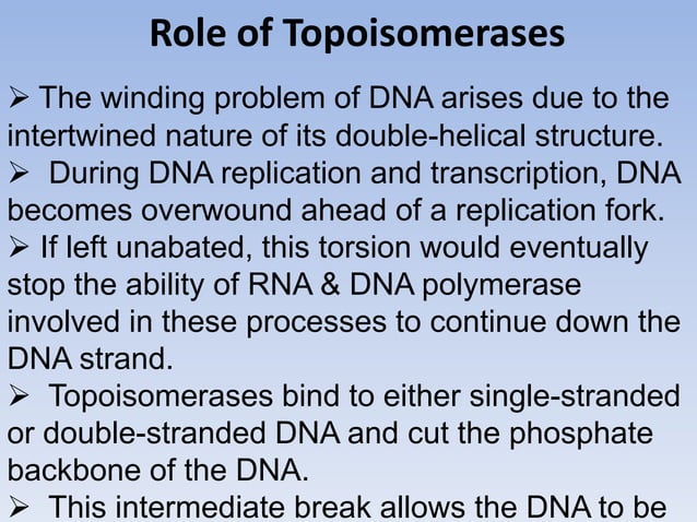 Dna methylases & topoisomerases | PPTX | Chemistry | Science