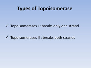 Dna methylases & topoisomerases | PPTX