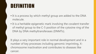 Dna methylation ppt | PPT
