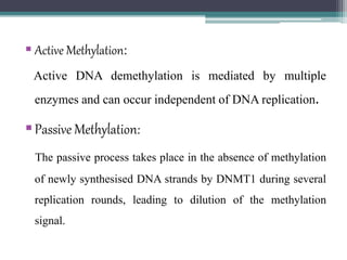 Dna methylation | PPTX