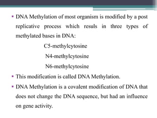 Dna methylation | PPTX