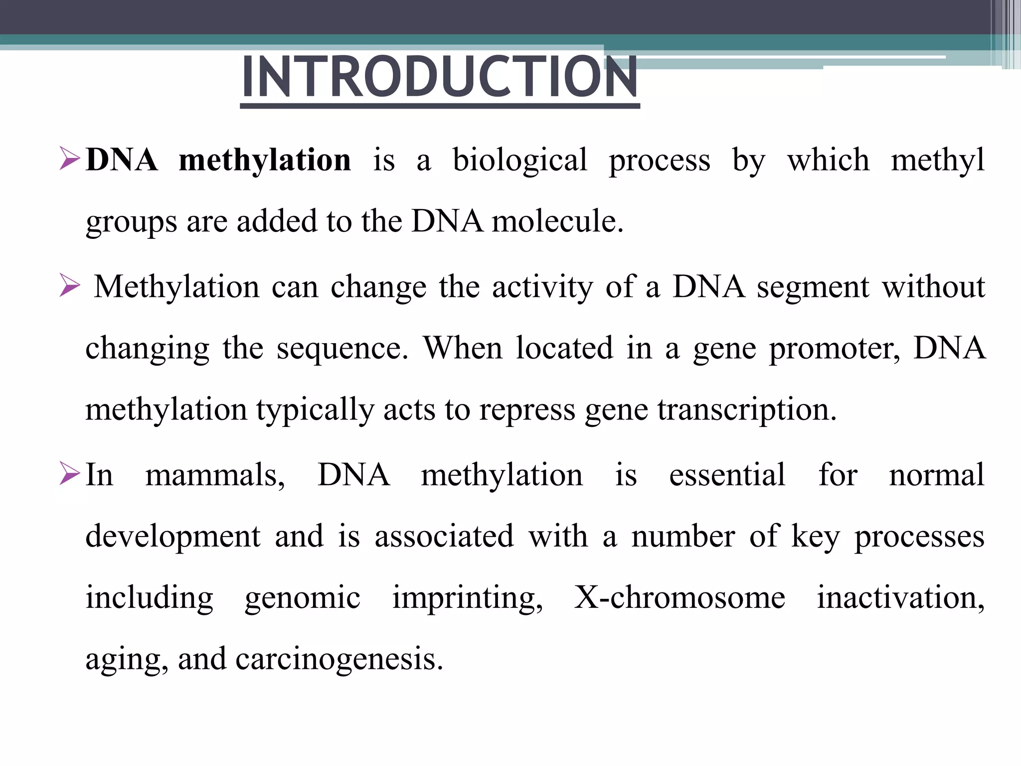 Dna methylation | PPTX